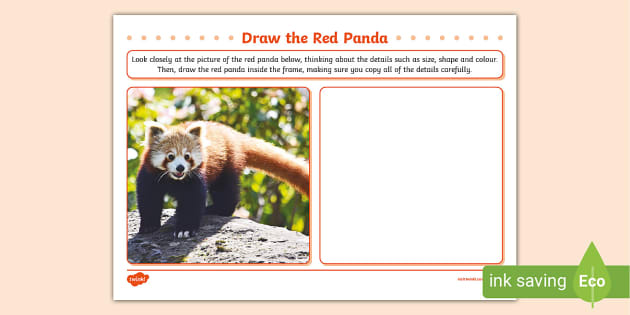 Draw the Red Panda Art Activity, Red Panda Drawing - Twinkl