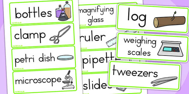 Minibeasts Investigation Word Cards (teacher made) - Twinkl