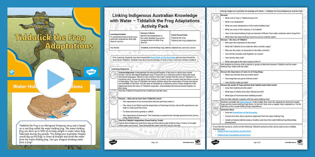 Tiddalick the Frog Adaptations Activity Pack (Teacher-Made)
