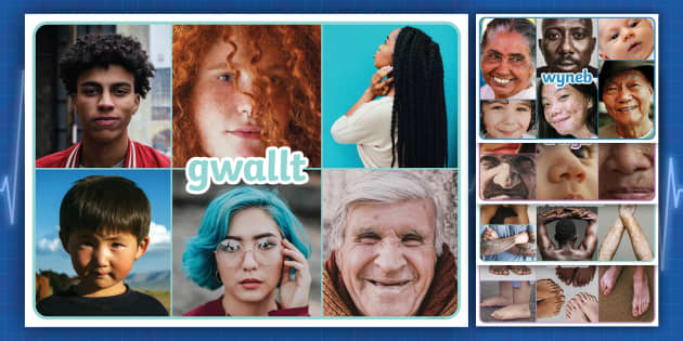 Y Corff: Pecyn Lluniau (teacher made) - Twinkl