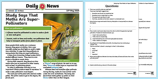 Moths Are Super-Pollinators, Says Study Daily News Story (ages 9-11)