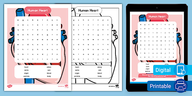 Human Heart Word Search for K-2nd Grade (teacher made)