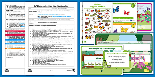 EYFS Maths: Minibeast Hunt Addition Whole Class Adult Input Plan and ...