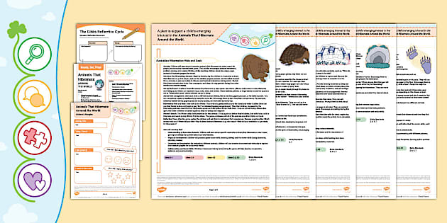 Hibernation Around The World (teacher made) - Twinkl