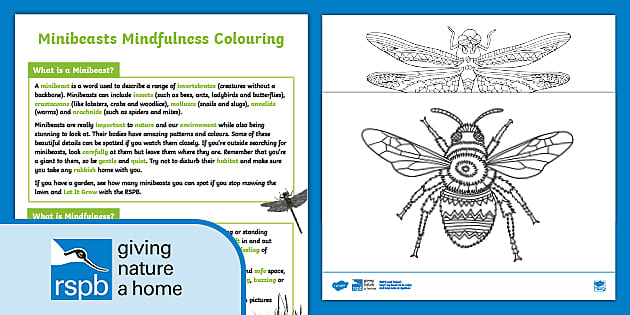 FREE! - Minibeasts Mindfulness Colouring (Ages 7 - 11)