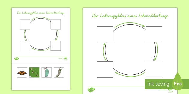 Der Lebenszyklus eines Schmetterlings Aktivität - Twinkl Der Lebenszyklus eines Schmetterlings Aktivität - Twinkl