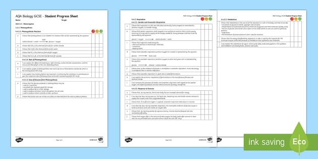 Bioenergetics Progress Sheet | AQA Biology | Beyond