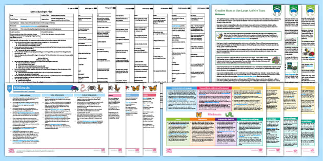 EYFS Ages 0-5 Minibeasts Bumper Planning Pack - Twinkl