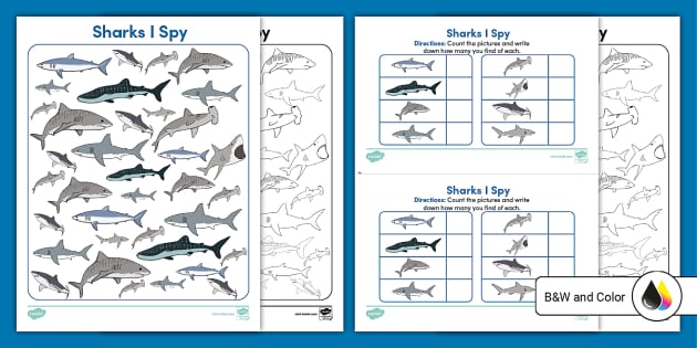 Shark Week Trivia for Kids - Twinkl