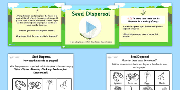 Seed Dispersal KS1 Task-Setting PowerPoint