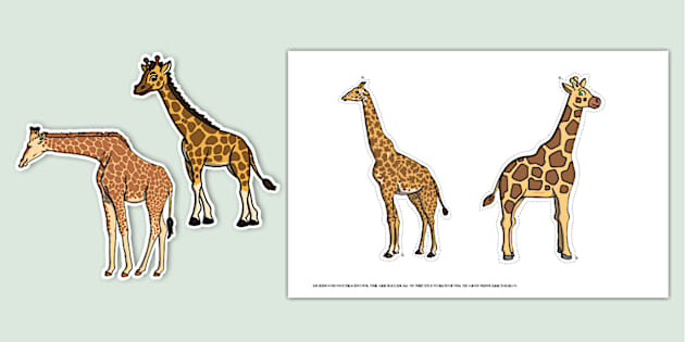 기린 컷 아웃 Giraffe Display Cut-Outs - Twinkl