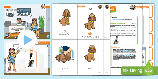 's, a, t, p' Lesson Pack - Level 2 Week 1 Lesson 5 - Twinkl