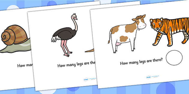 Animal Legs Addition Sheets (Hecho por educadores) - Twinkl