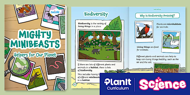 Science: Biodiversity - Minibeasts: Mighty Minibeasts eBook Year 2
