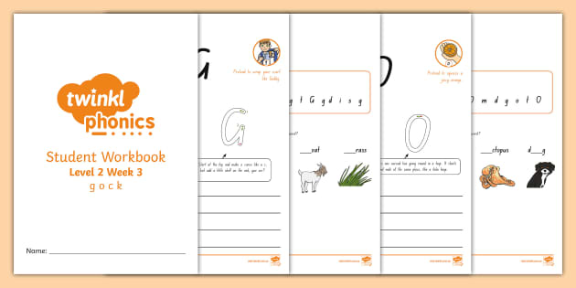 'g, o, c, k' Level 2 Week 3 Phonics Workbook | Twinkl