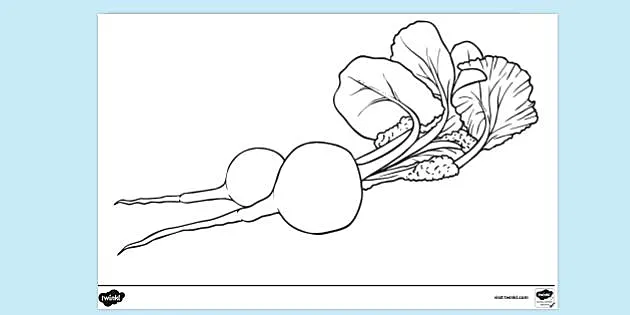 Radish Coloring Page