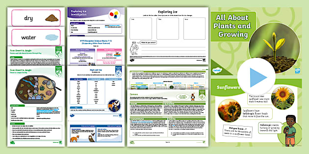 Reception White Rose Science Supporting Resources Pack
