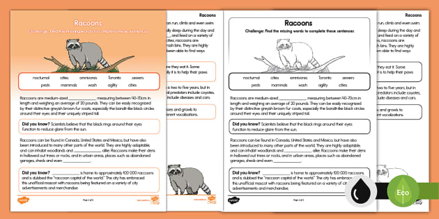 All About Raccoons Cloze Activity (teacher made) - Twinkl