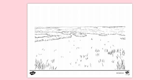 FREE! - Saltmarsh Colouring | Colouring Sheets - Twinkl