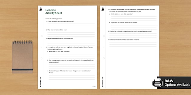 Evolution Activity Sheet