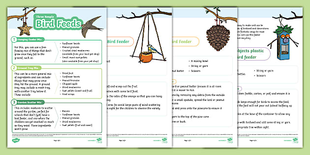 Three Simple Bird Feeder and Food Ideas (teacher made)
