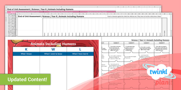 Science: Animals Including Humans Year 6 Unit Assessment Pack