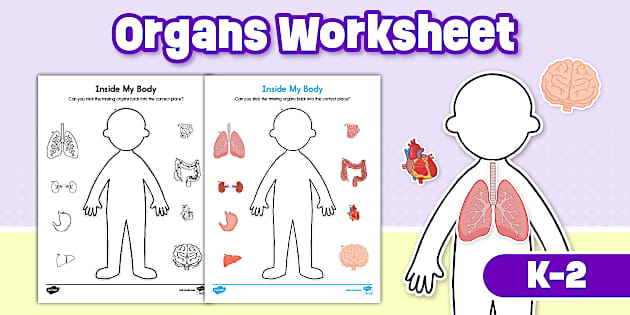 Inside My Body Organs Cut and Paste Worksheet