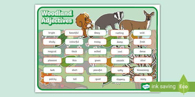 Woodland Adjectives Word Mat (teacher made) - Twinkl