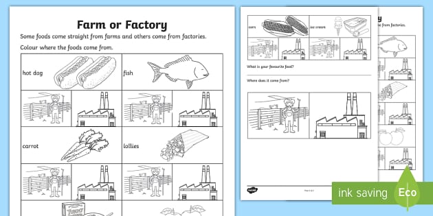 Farm or Factory Food Worksheet