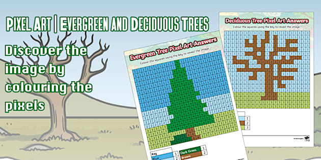 Evergreen and Deciduous Tree Pixel Art Template