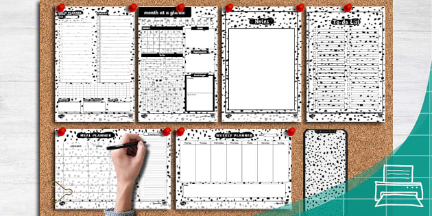 Dalmatian Dots | Planning Pack | Twinkl Busy Bees