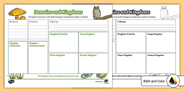 Domains and Kingdoms Taxonomy Graphic Organizer for 6th-8th Grade