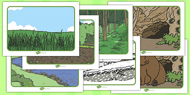 Bear Hunt Story Sequencing - We're Going on a Bear Hunt, Michael