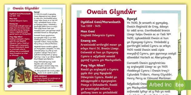 Ffeil Ffeithiau Owain Glyndŵr - Perffaith i Blant! - Twinkl