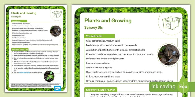 Plants and Growing Sensory Bin | Twinkl (teacher made)
