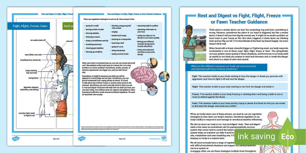 Rest and Digest vs Fight, Flight, Freeze or Fawn Teacher Guidance