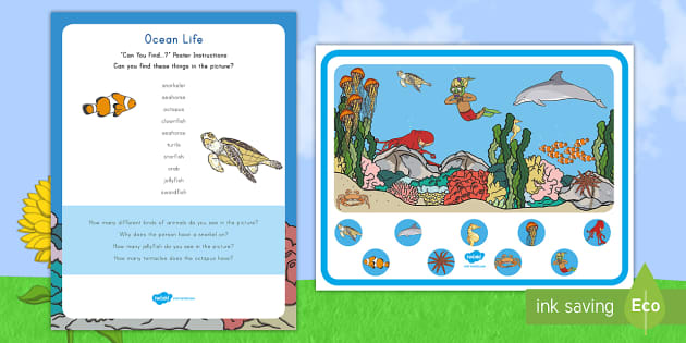 Ocean Life Can You Find? Picture Activity (teacher made)