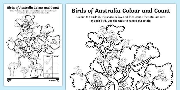 Birds of Australia Colour and Count Worksheet (teacher made)