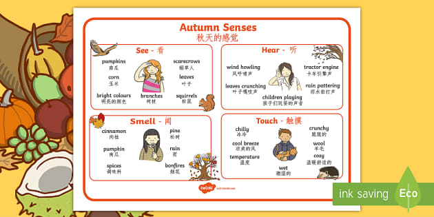 Autumn Senses Word Mat English/Mandarin Chinese - Autumn Senses Word Mat