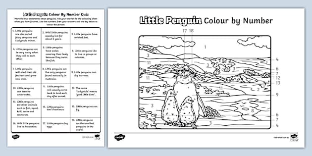 Little Penguin Colour By Number Quiz (teacher made) - Twinkl