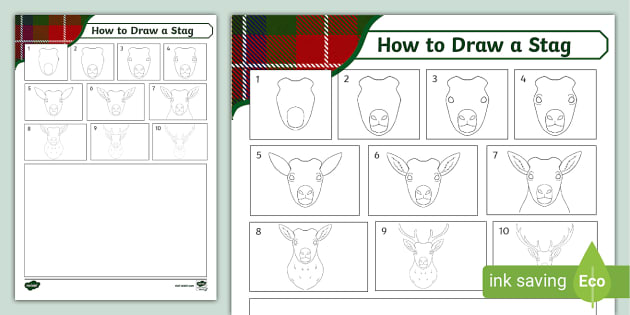 How To Draw A Stag Worksheet How To Draw A Stag Worksheet
