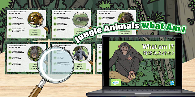 Jungle Animals What Am I? Interactive PowerPoint Game English/Mandarin