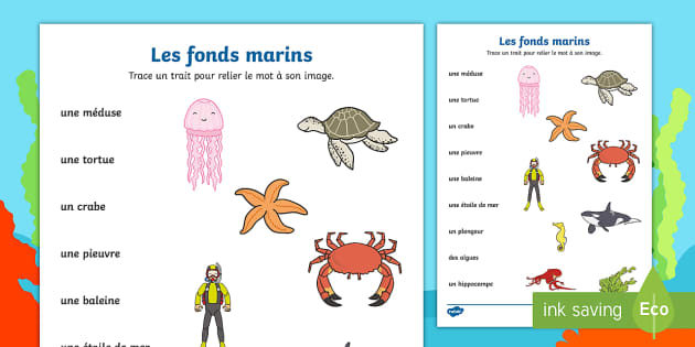 Associer un mot à son image : Les fonds marins