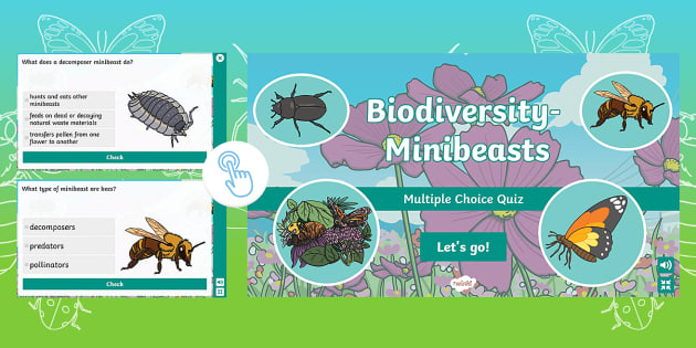 Retrieval Practice: Science: Biodiversity - Minibeasts: Year 2: Interactive Retrieval Practice: Science: Biodiversity - Minibeasts: Year 2: Interactive