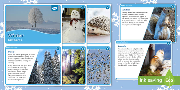 Winter Animal Craft Ideas For Preschoolers Twinkl Blog winter-animal-craft-ideas-for-preschoolers-twinkl-blog