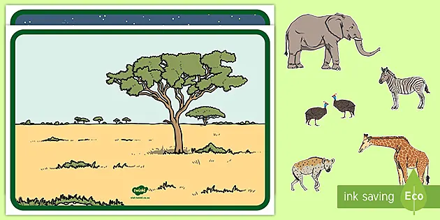 Forest Biome Project