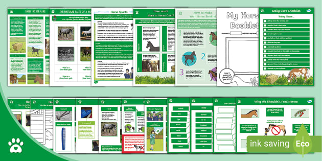 My Horse Booklet - Lapbook Creation Pack - Twinkl Pets