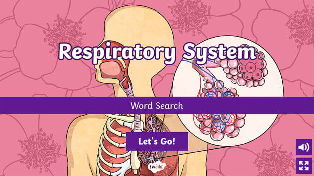 Respiratory System Interactive Word Search - Twinkl