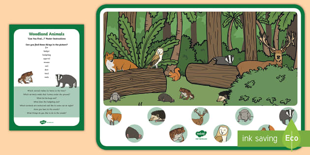 Woodland Animals Can You Find...? Poster and Prompt Card Pack