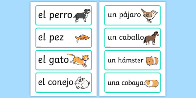 FREE! - Pet Animals in Spanish - Pets Word Cards - Spanish